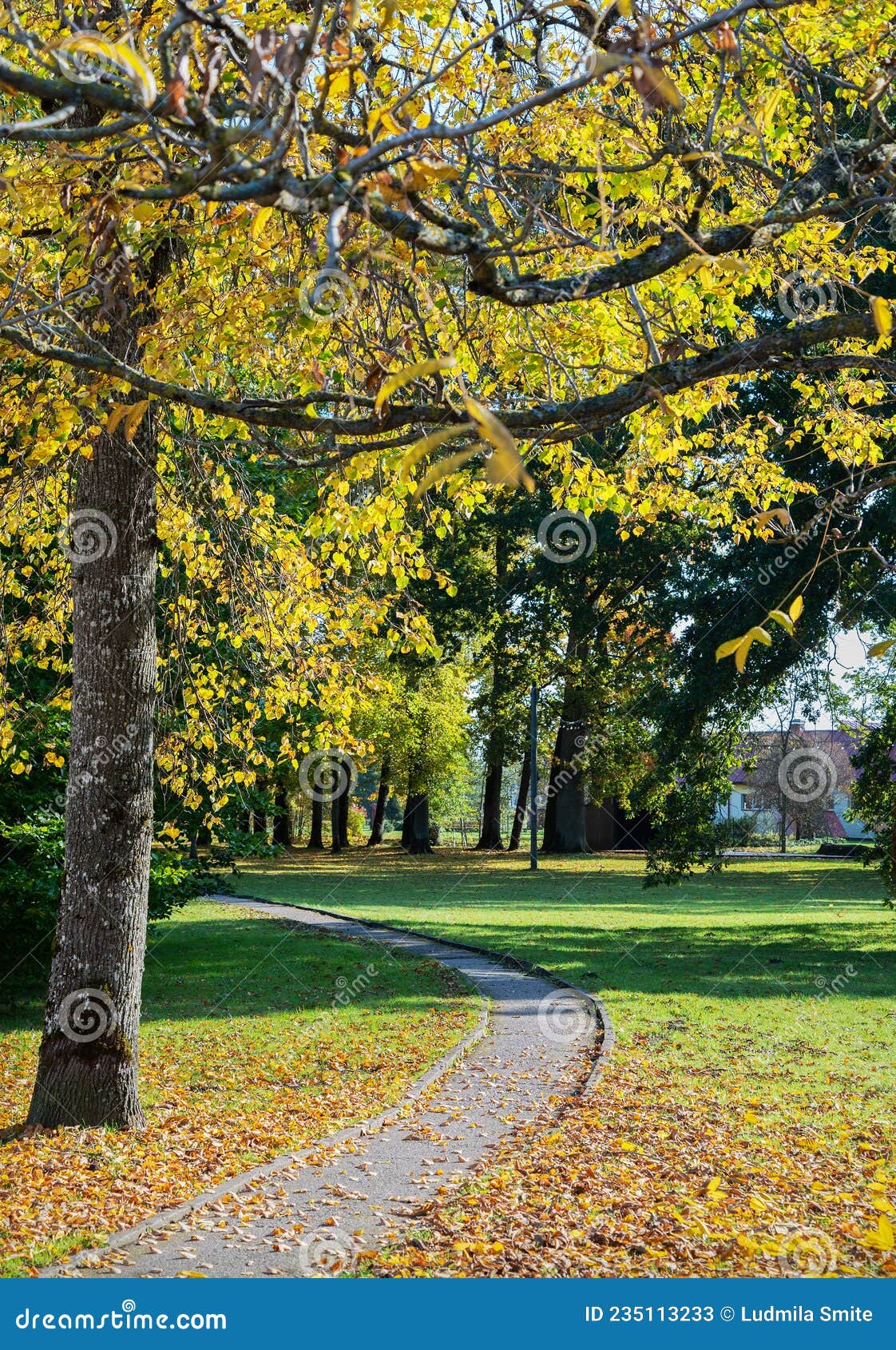 Park with a path stock image. Image of pathway, october - 235113233