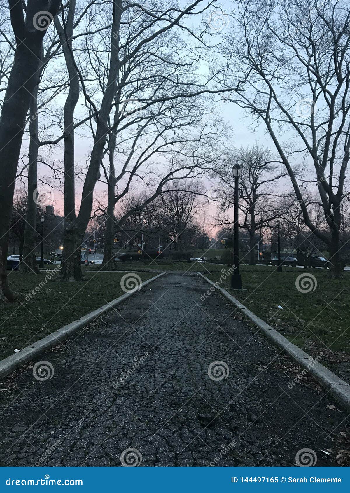 Evening walks stock image. Image of park, walks, evening - 144497165