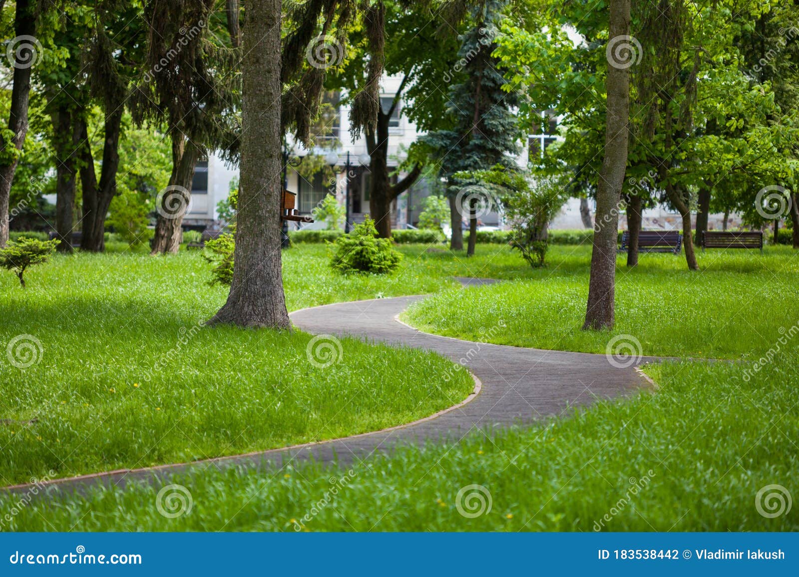 Park paths stock photo. Image of lush, country, bench - 183538442