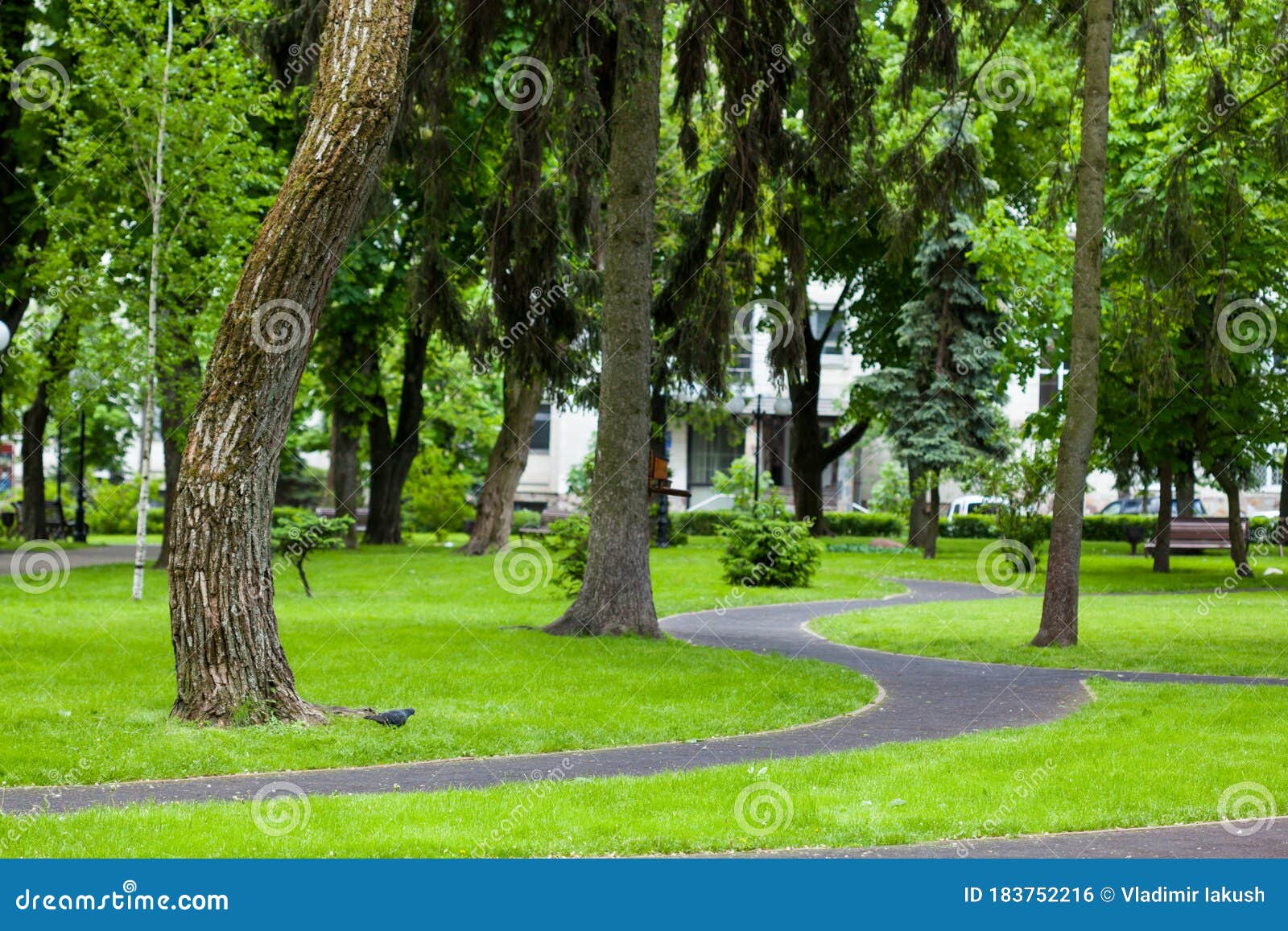 Park paths stock photo. Image of park, land, country - 183752216