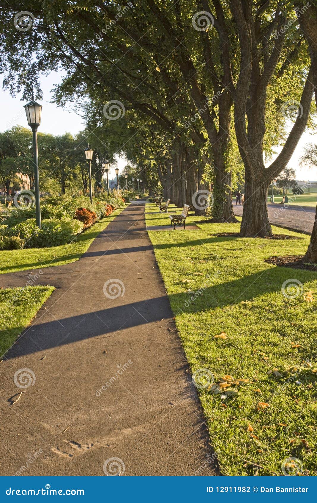 Park Pathway stock photo. Image of grass, lamps, pathway - 12911982