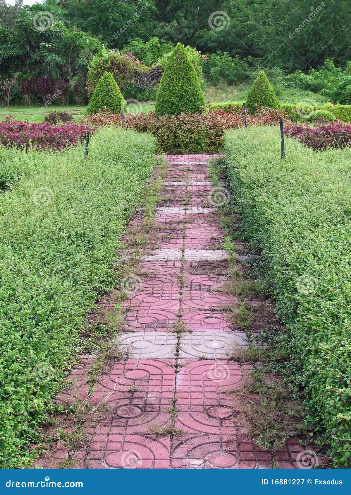 Park pathway stock image. Image of background, beautiful - 16881227