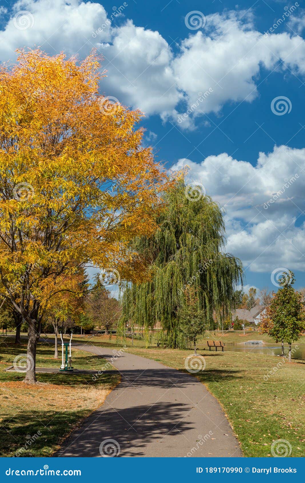 Park Pathway in Fall stock photo. Image of orange, bright - 189170990
