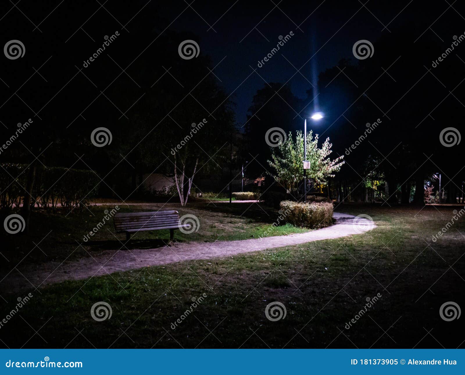 Park and pathway by night stock image. Image of house - 181373905