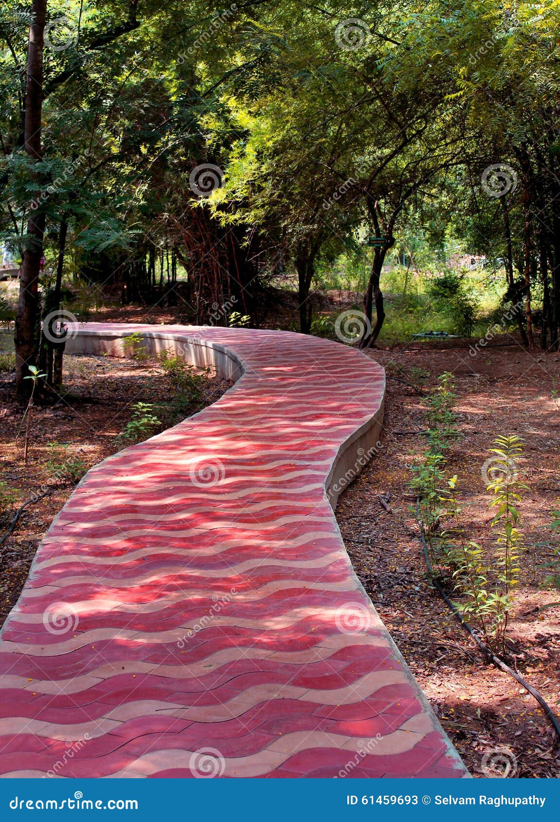 Park Pathway Royalty-Free Stock Image | CartoonDealer.com #32664004
