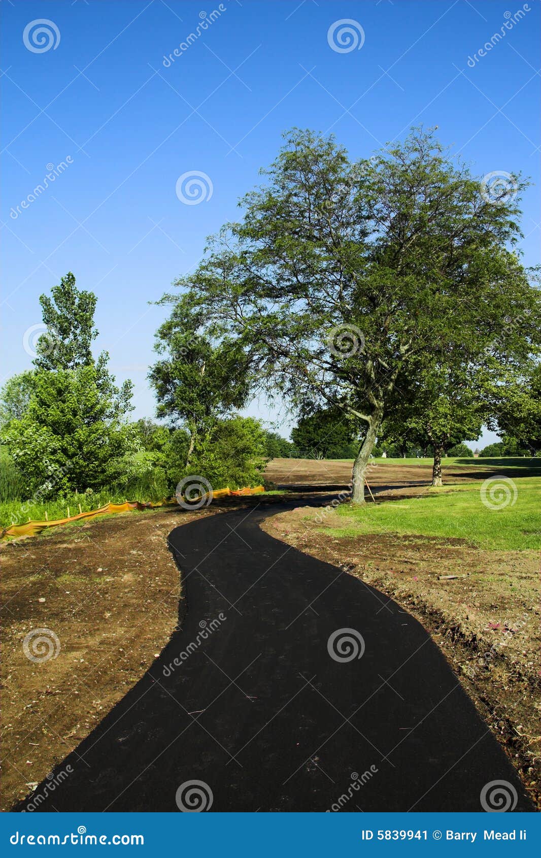 Park pathways stock image. Image of road, trails, pathways - 5839941
