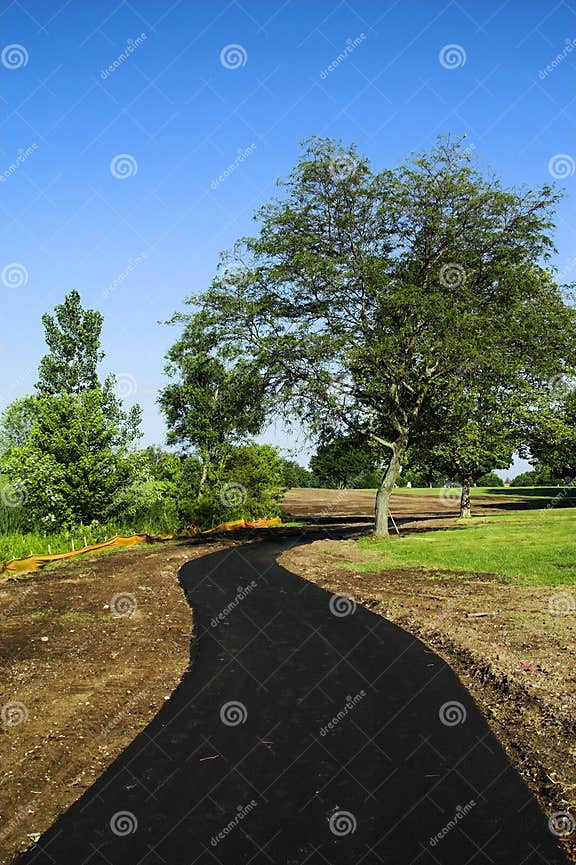Park pathways stock image. Image of road, trails, pathways - 5839941
