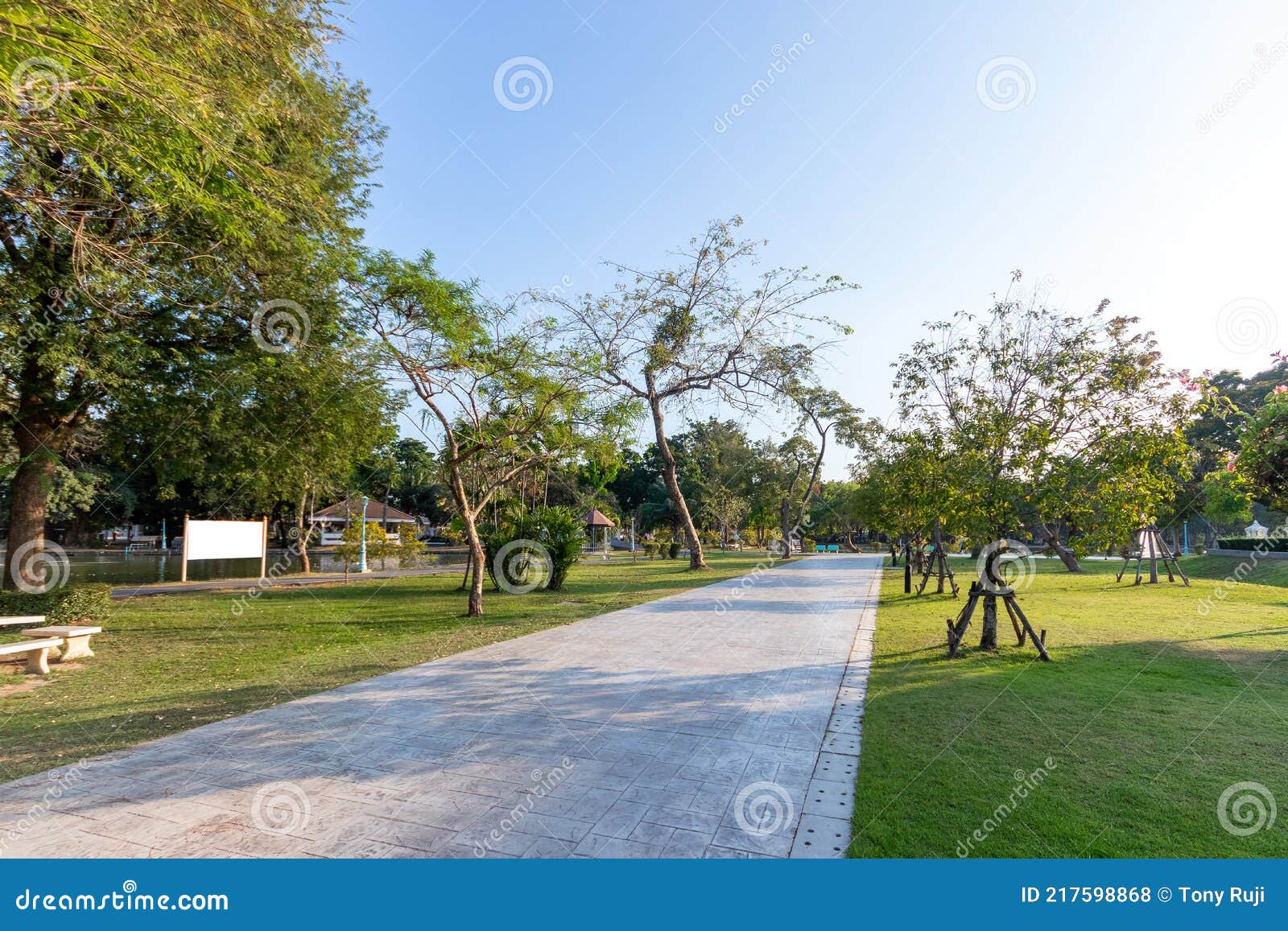 Pathways With Green Lawns, In The Garden. Top View Of Curve Walkway On ...