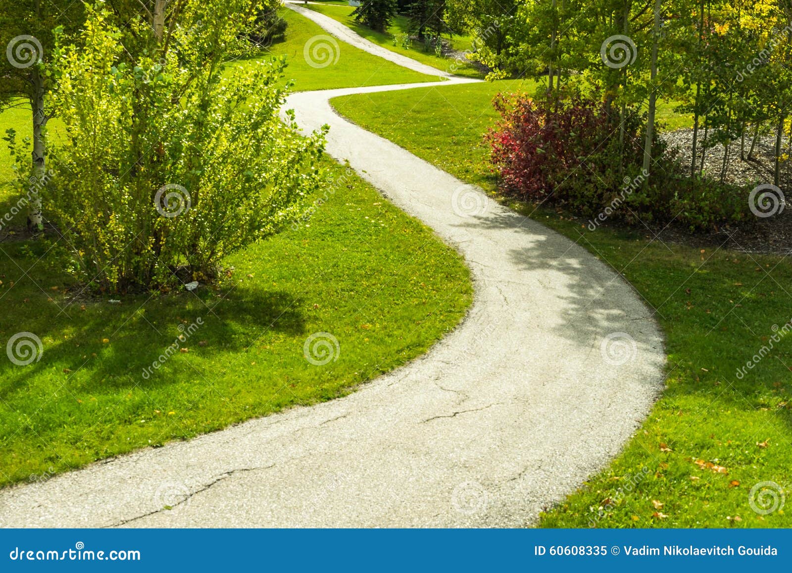 Park paved path stock image. Image of trees, paved, area - 60608335