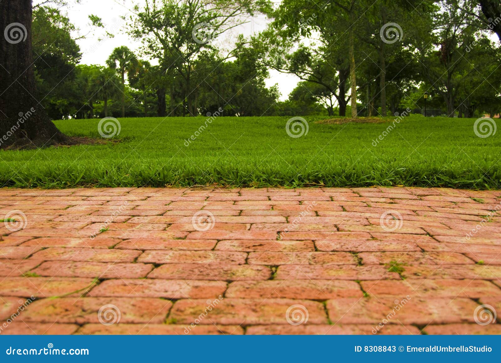 Park Perspective stock image. Image of path, stone, walkway - 8308843