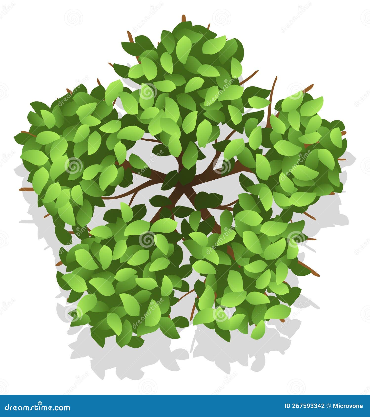 Park Plan Nature Element. Green Tree Top View Stock Illustration ...