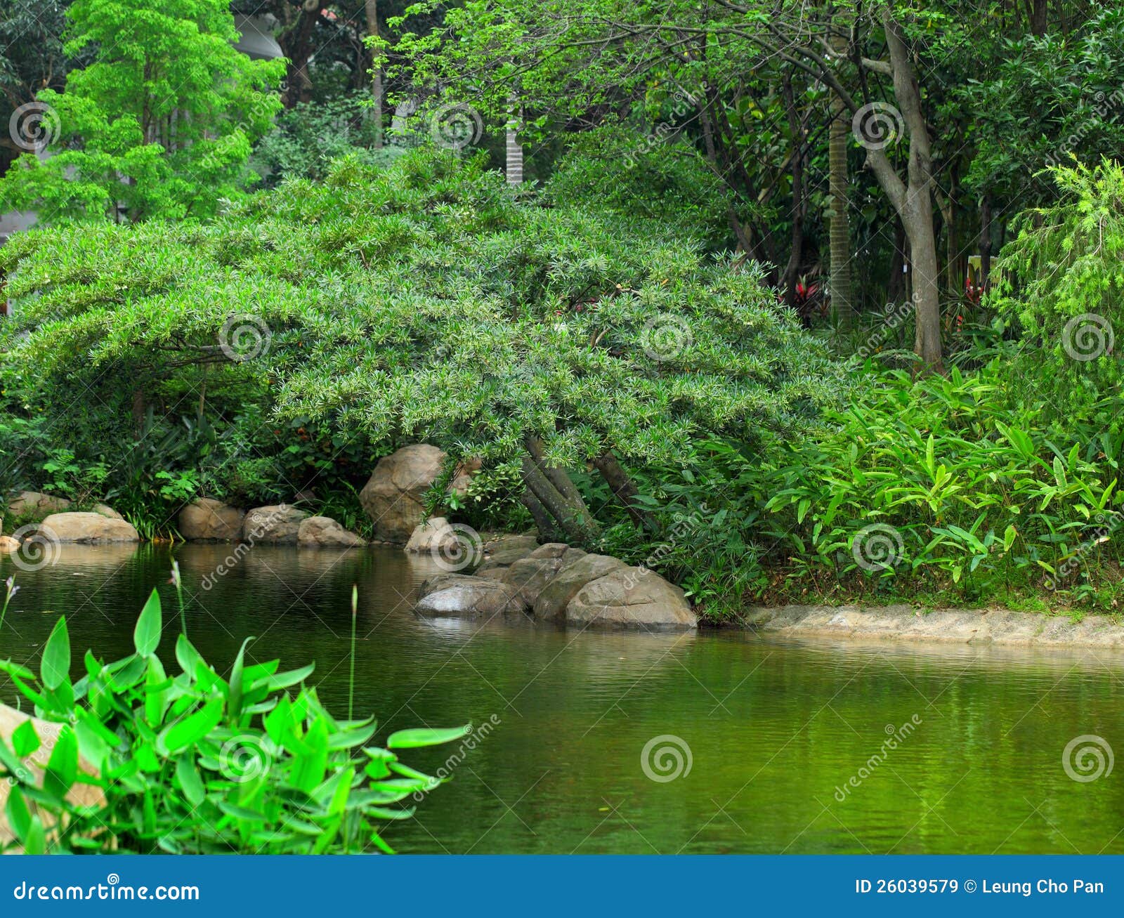 Park with pond stock image. Image of splashing, landscaped - 26039579