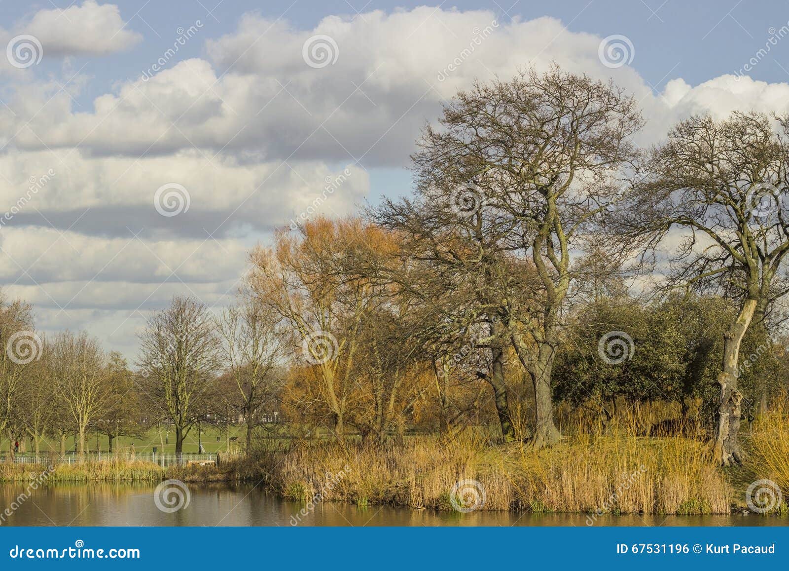 Park and Pond of Clapham Common in London Stock Photo - Image of pond ...