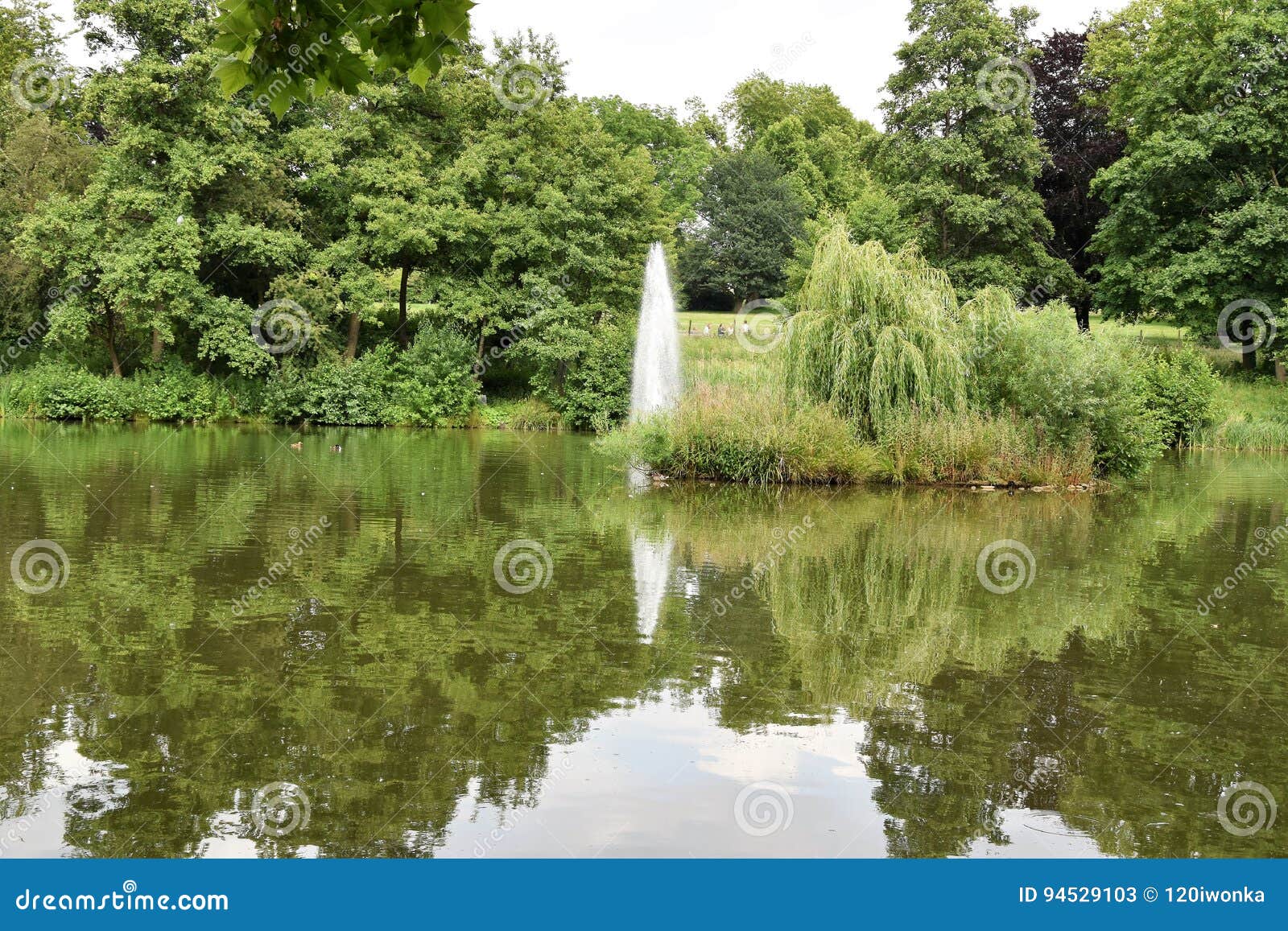 Park with Pond and Fountain Stock Image - Image of scenery, outside ...