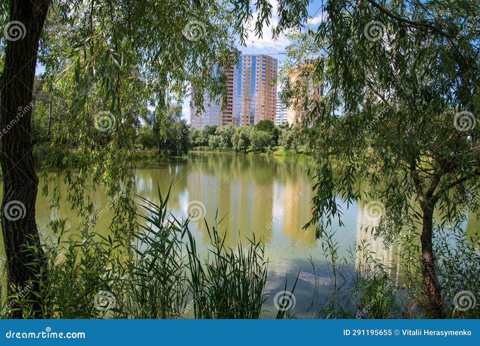 Park with a pond stock image. Image of pond, nature - 291195655