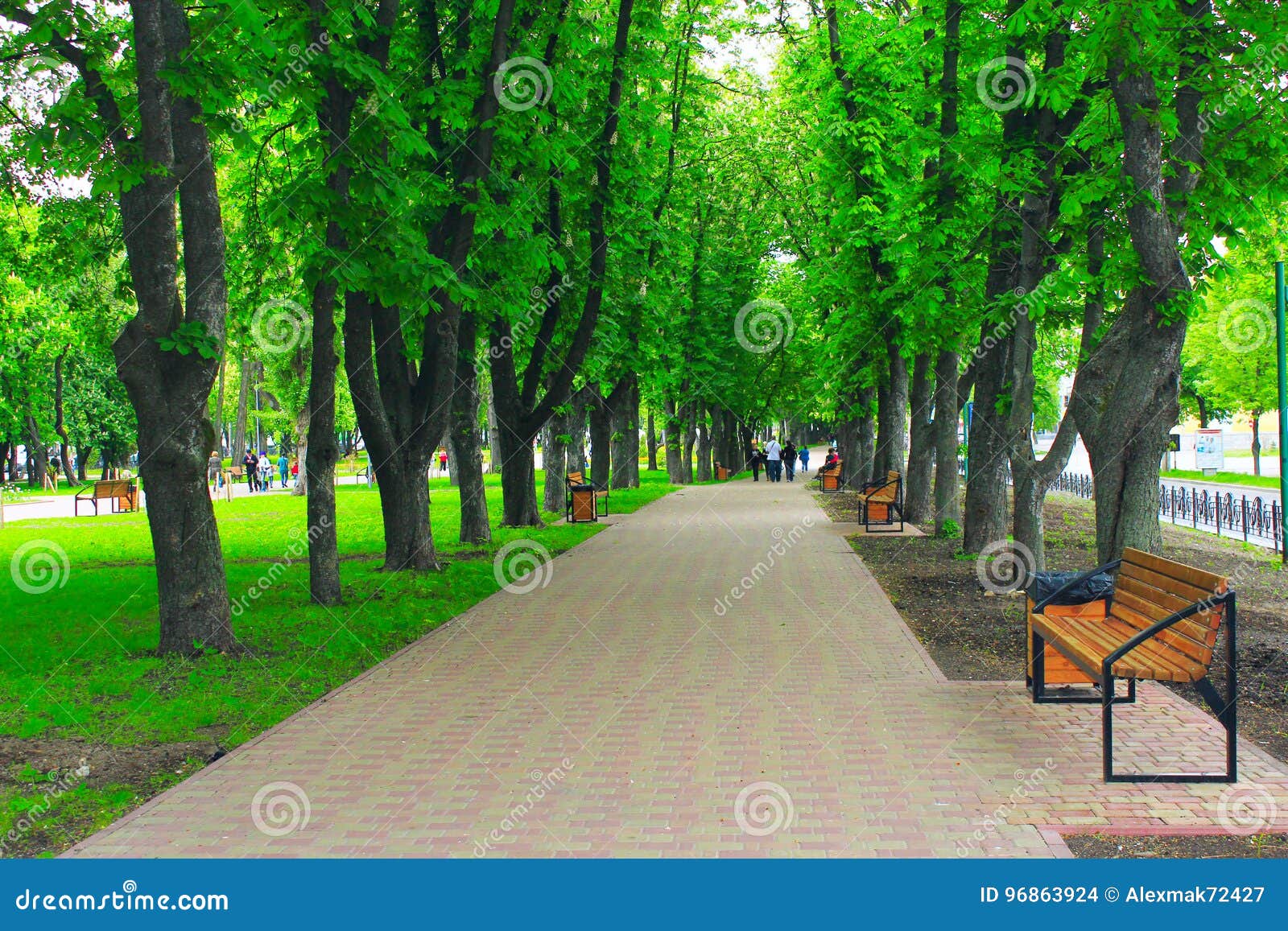 Park with Promenade Path and Big Green Trees Stock Photo - Image of ...