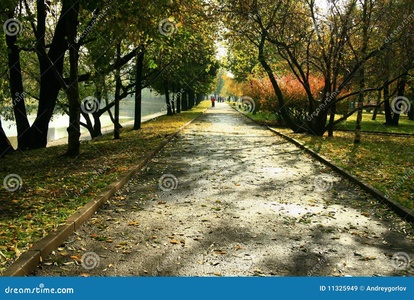 Park after rain stock image. Image of rain, covered, grass - 11325949