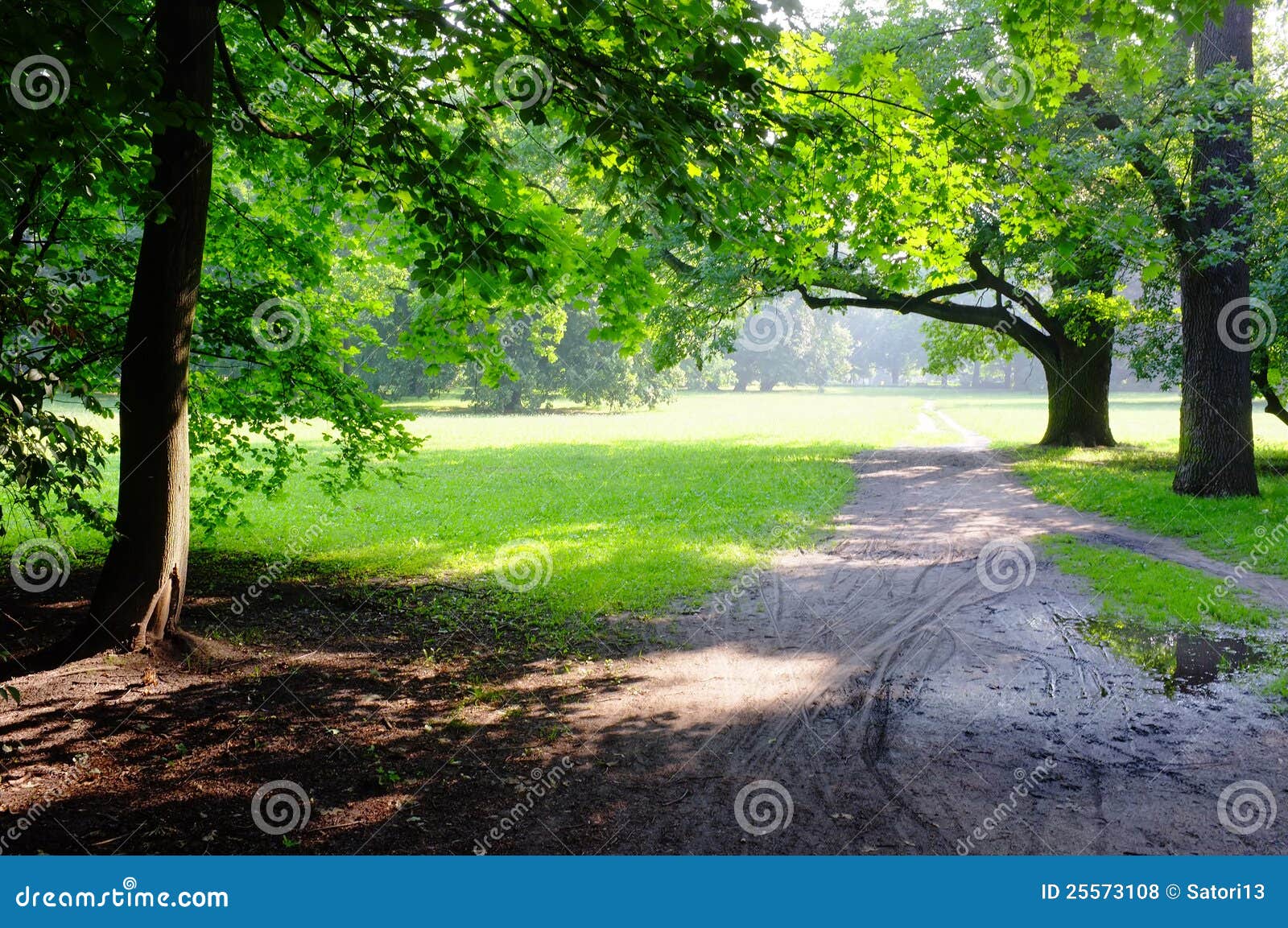 Park on rainy day stock photo. Image of pastoral, flora - 25573108