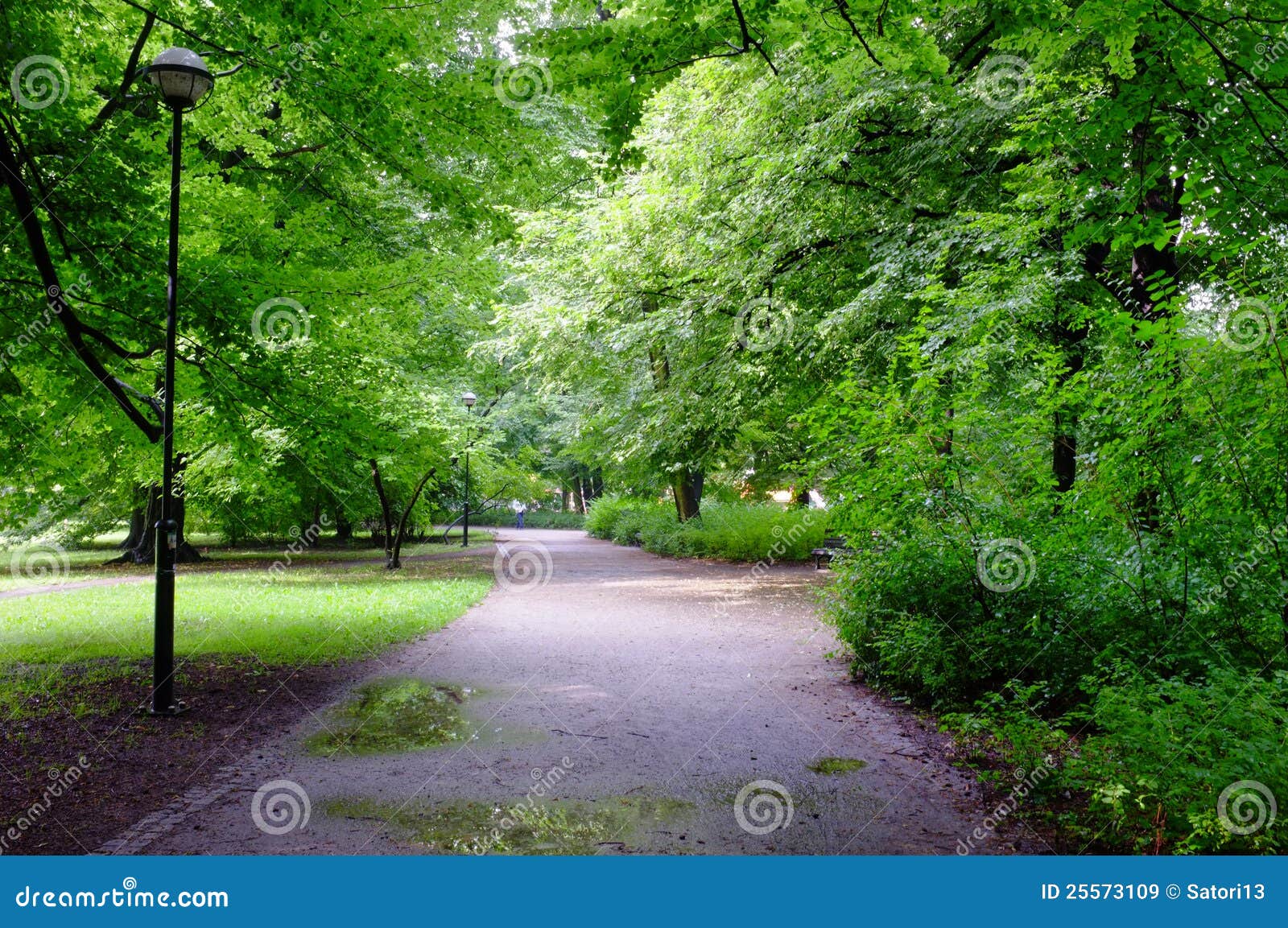 Park on rainy day stock image. Image of greenery, dense - 25573109