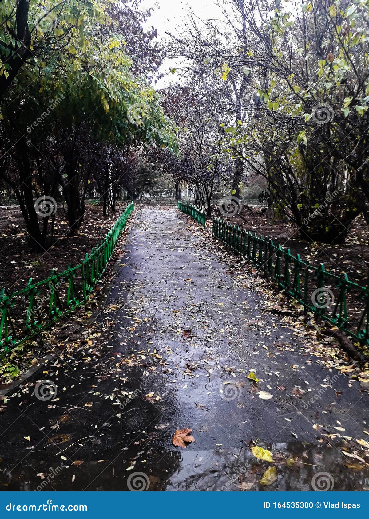 Park on a Rainy Day in Bucharest, Romania, 2019 Stock Photo - Image of ...