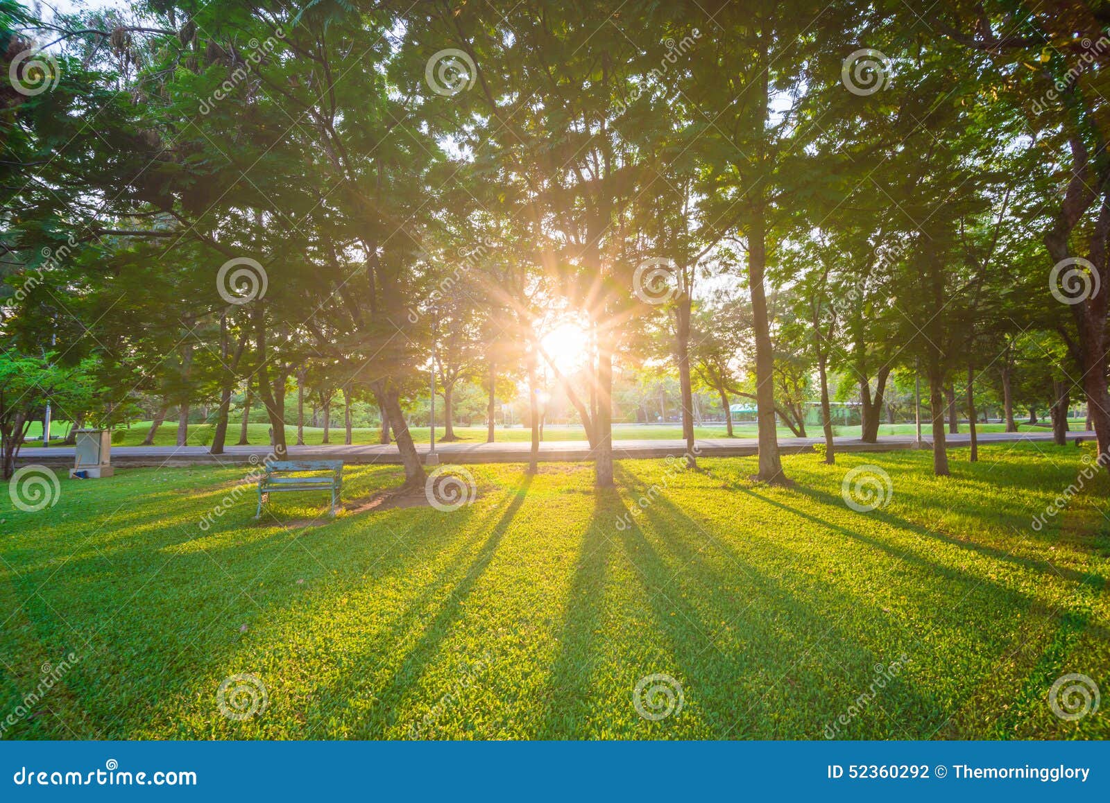 Park and Recreation Area in the City Stock Photo - Image of flower ...