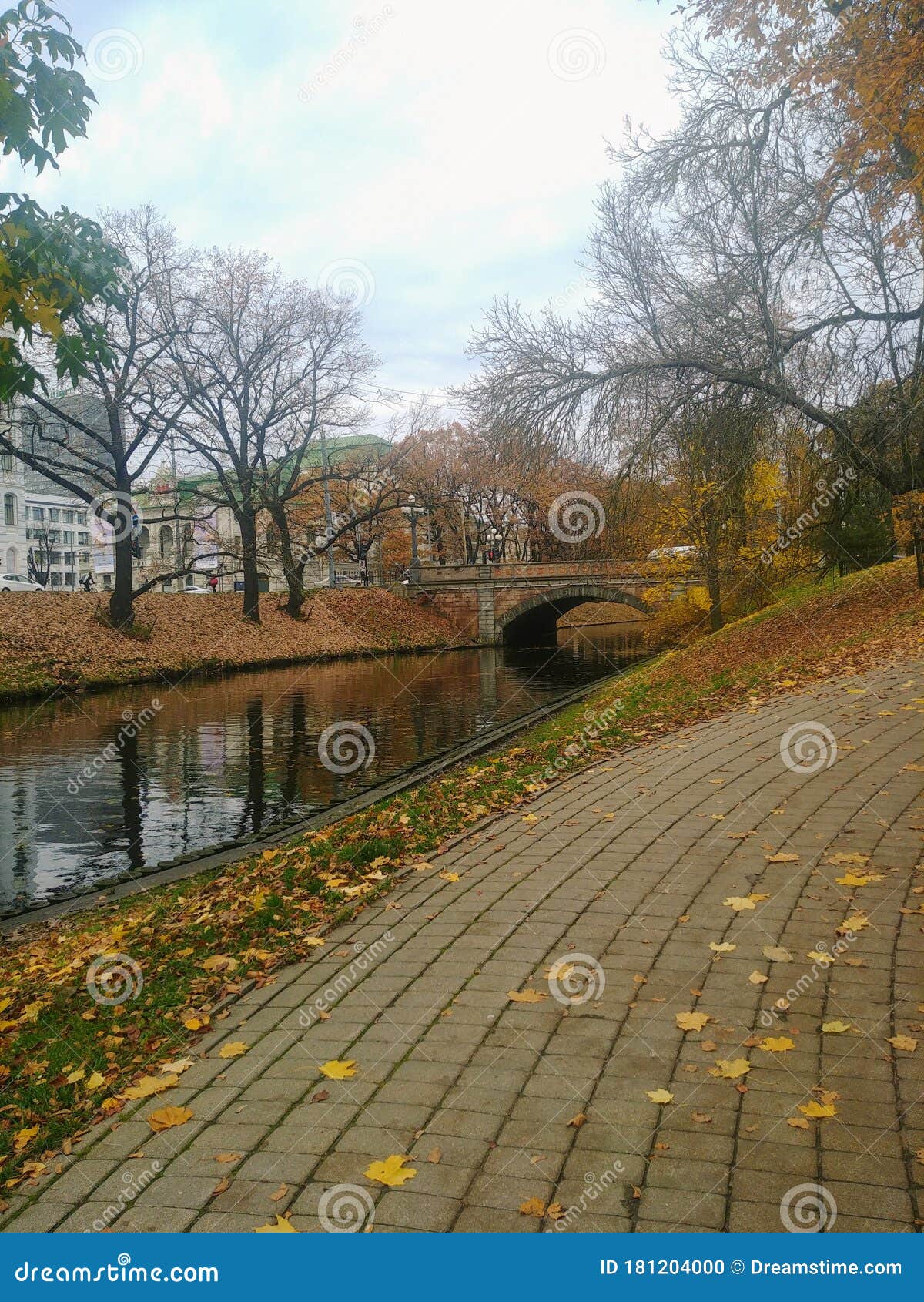 Park in Riga stock photo. Image of riga, leafs, nature - 181204000
