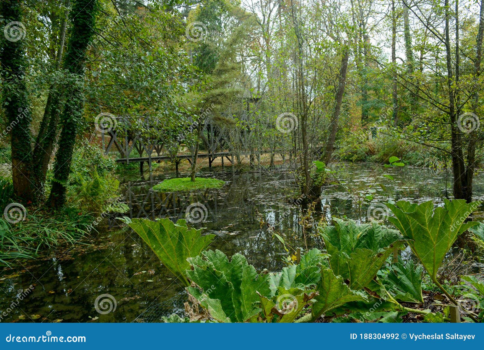 Park river bridge trees stock photo. Image of mountain - 188304992