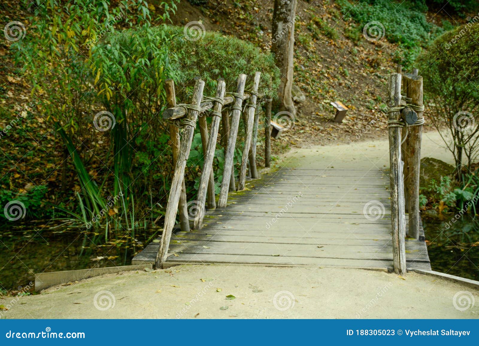 Park river bridge trees stock image. Image of foliage - 188305023