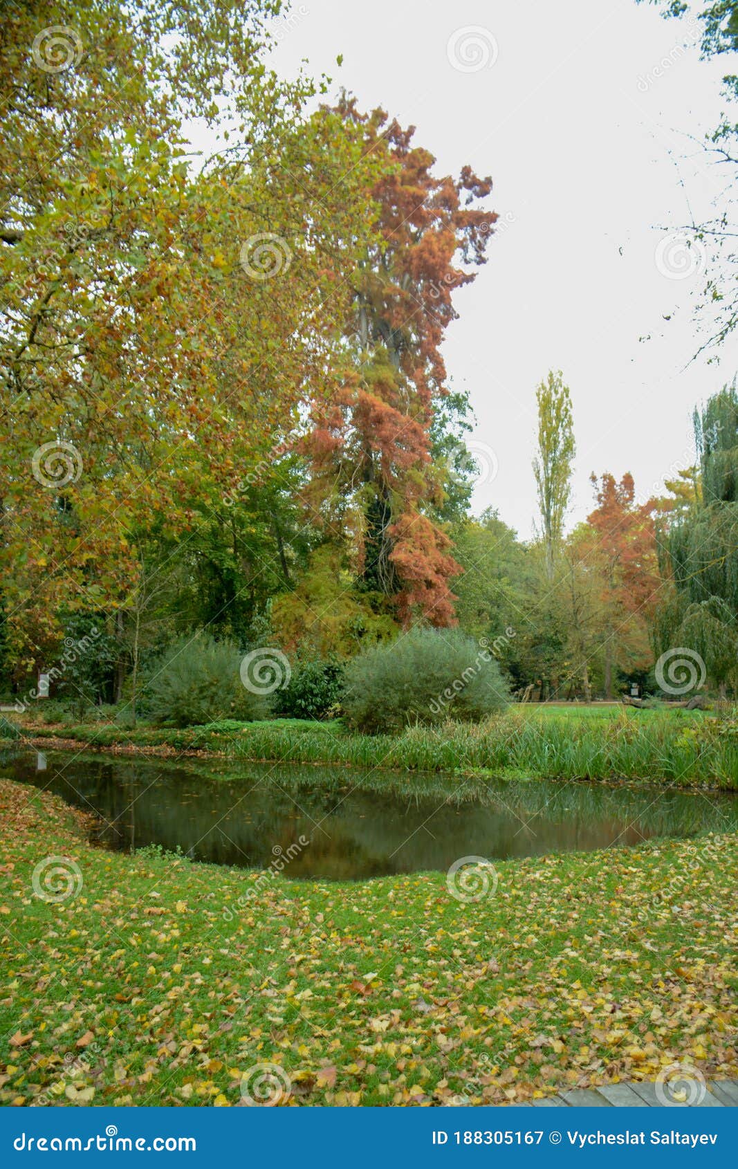 Park river bridge trees stock image. Image of outdoors - 188305167
