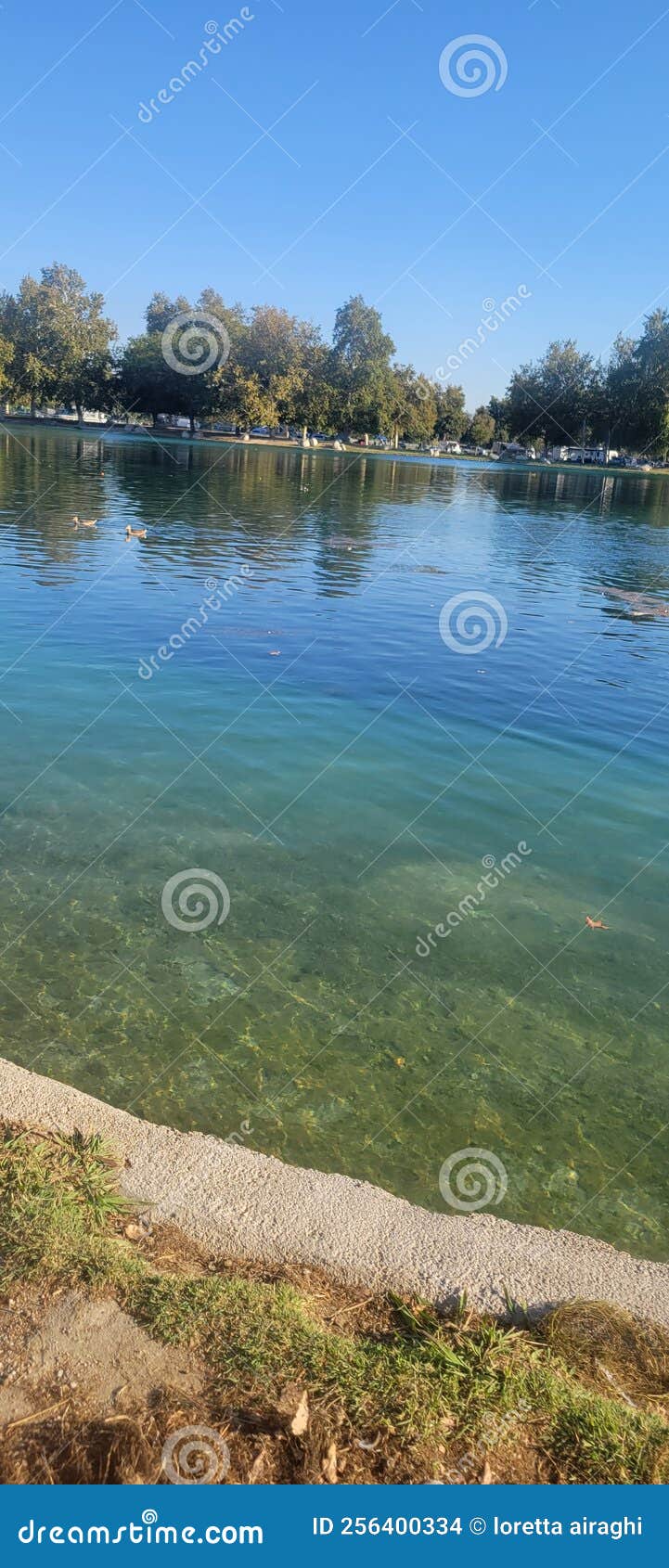 Park in riverside stock photo. Image of riverside, cliff - 256400334