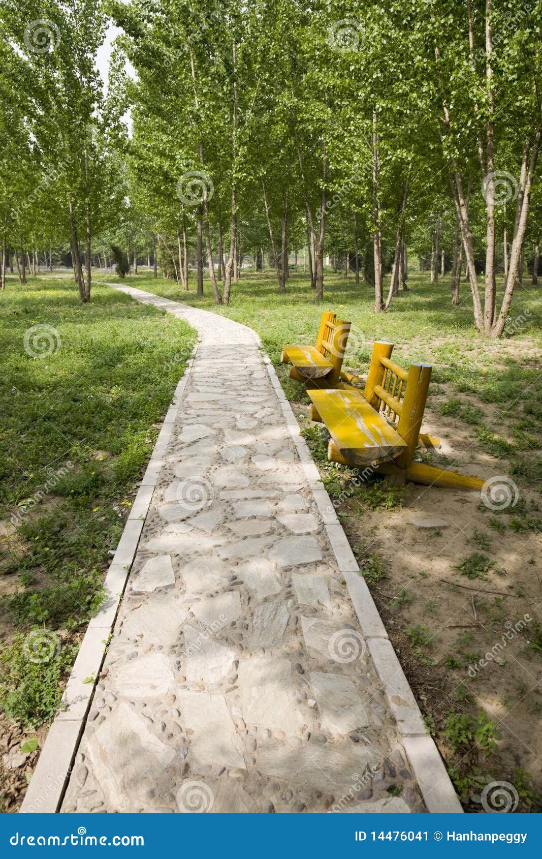 Park road and bench stock image. Image of road, neat - 14476041