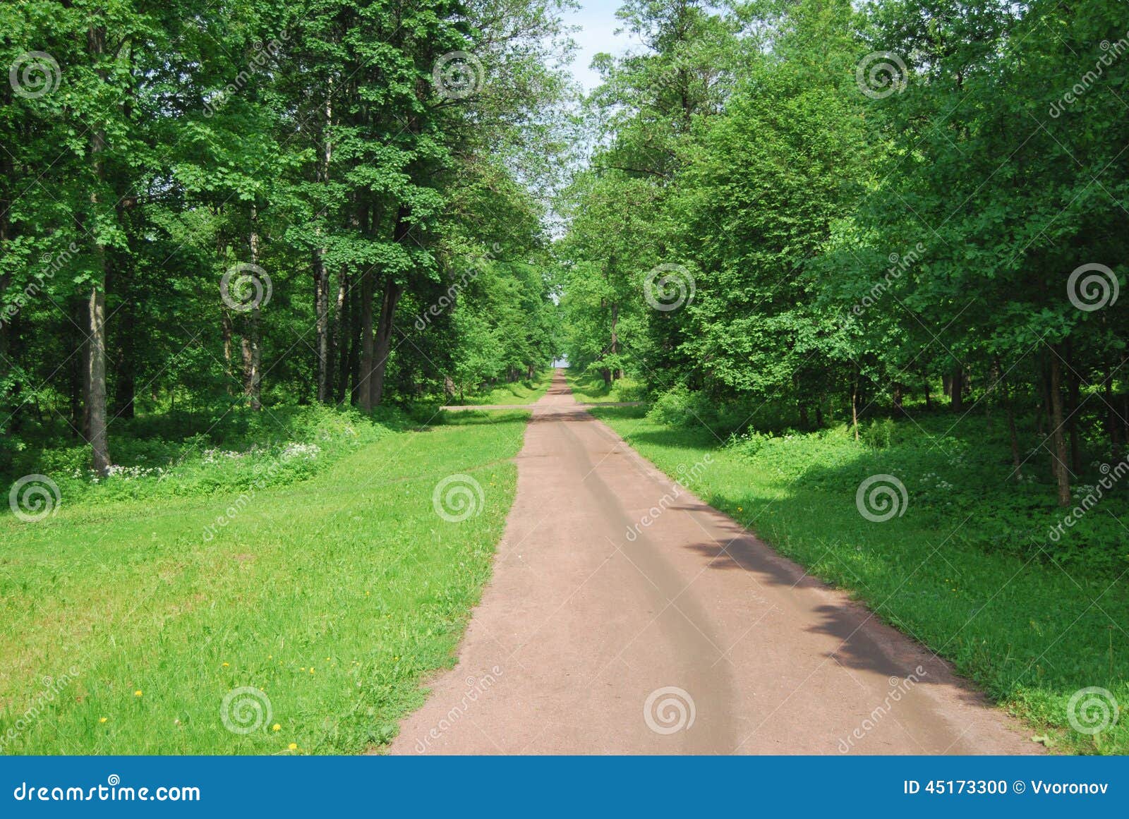 Park Road stock photo. Image of summer, sunny, shady - 45173300