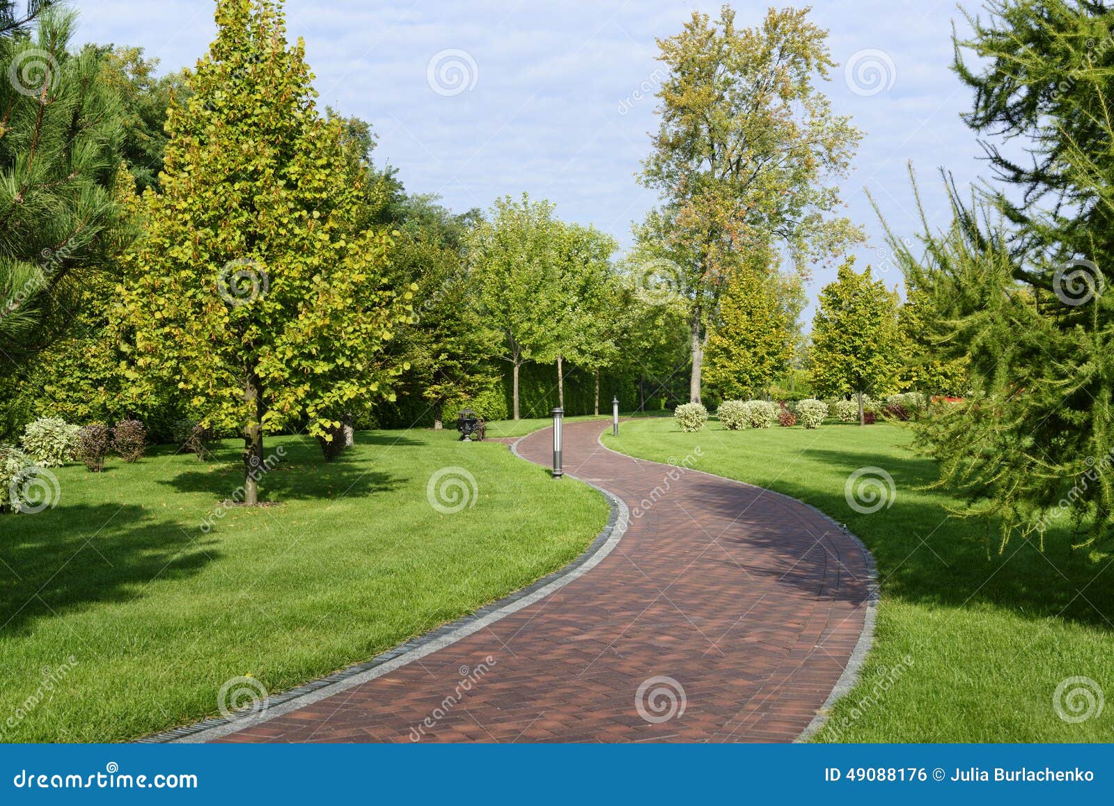 Park road stock photo. Image of green, light, paving - 49088176