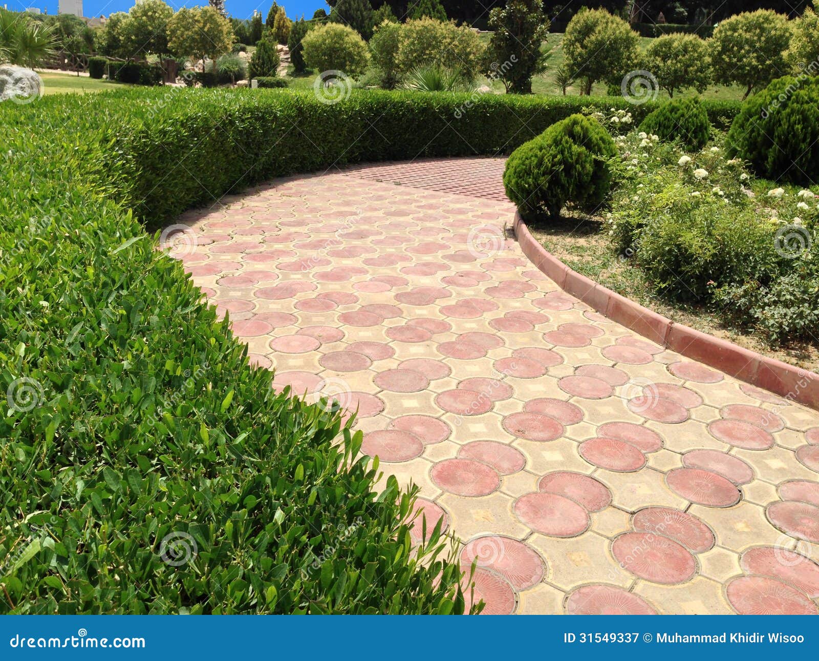 Park road stock image. Image of seasonal, tree, landscape - 31549337