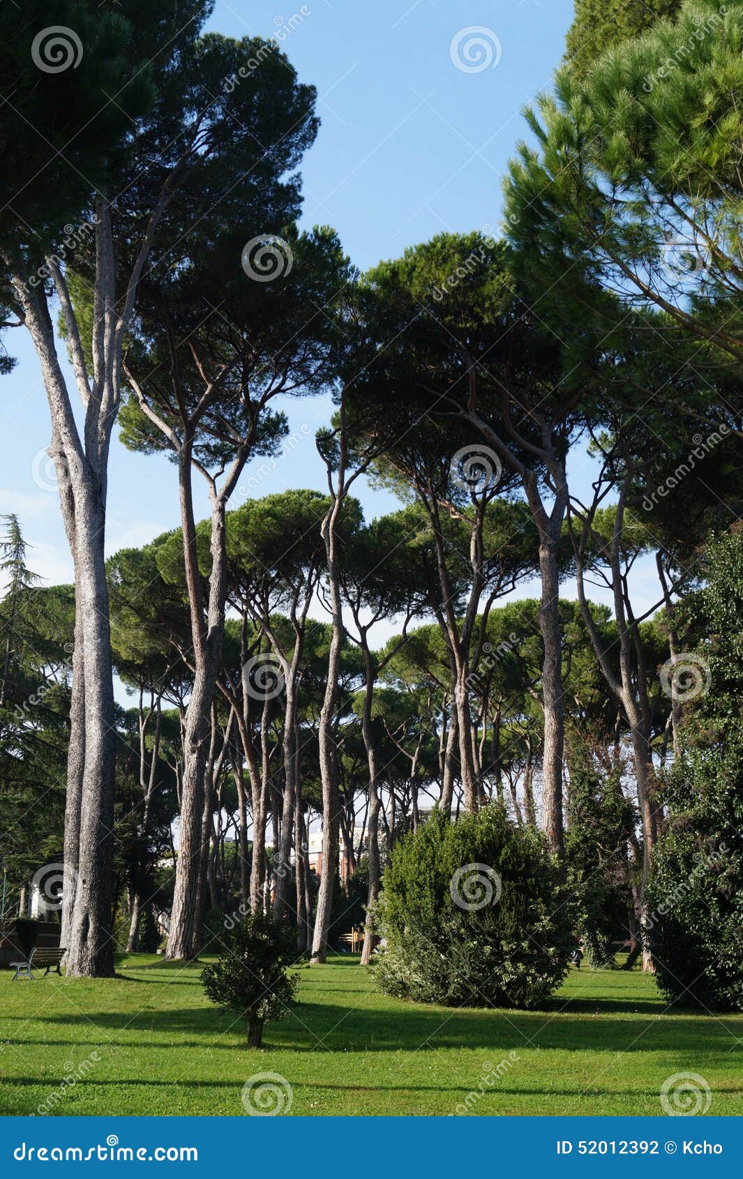 Casale Renzi Stock Photos - Free & Royalty-Free Stock Photos from ...