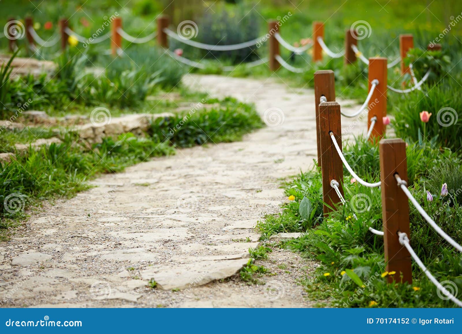 Park rope fence stock photo. Image of spring, nature - 70174152
