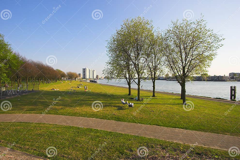 Park in Rotterdam stock image. Image of path, people, grass - 2262551