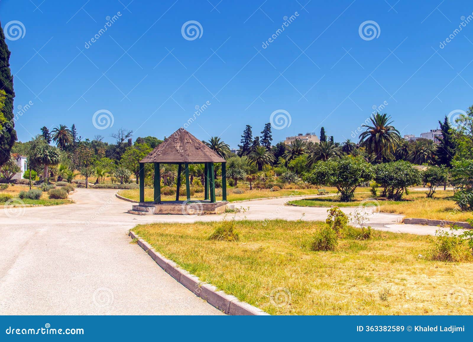 The Park S Lush Greenery and Trees Stock Image - Image of recreation ...