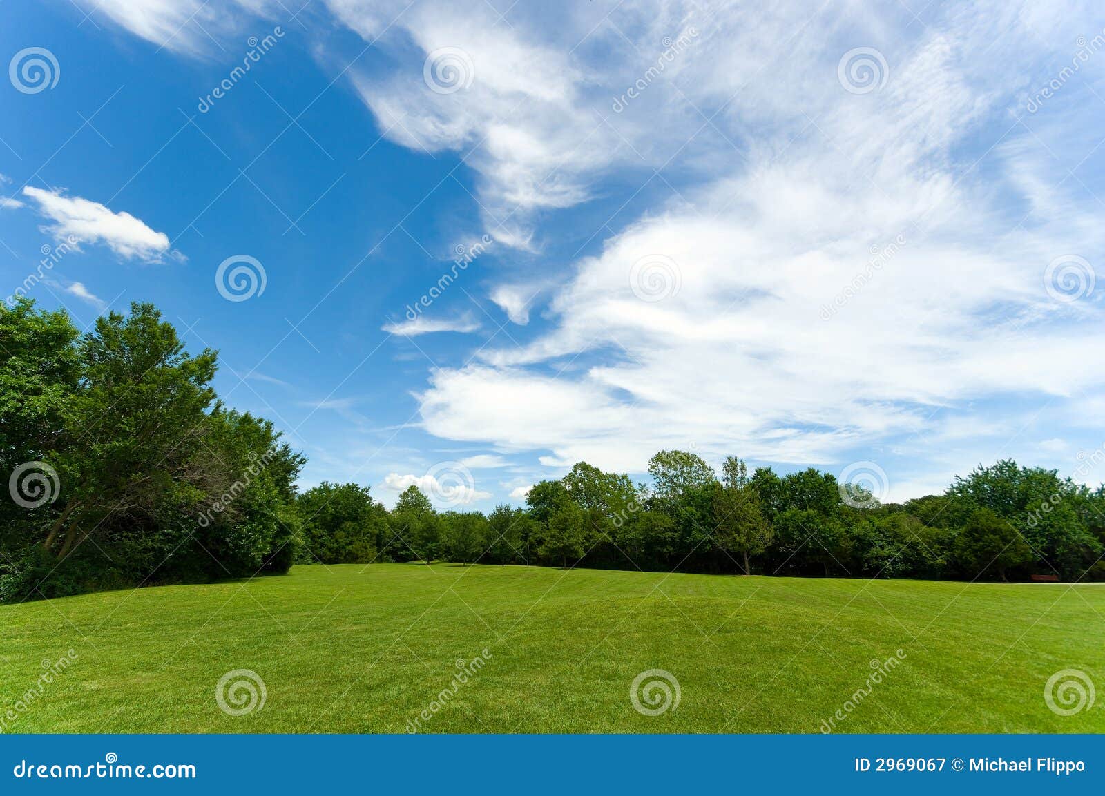 Park Scene stock image. Image of beauty, lawn, trees, nature - 2969067