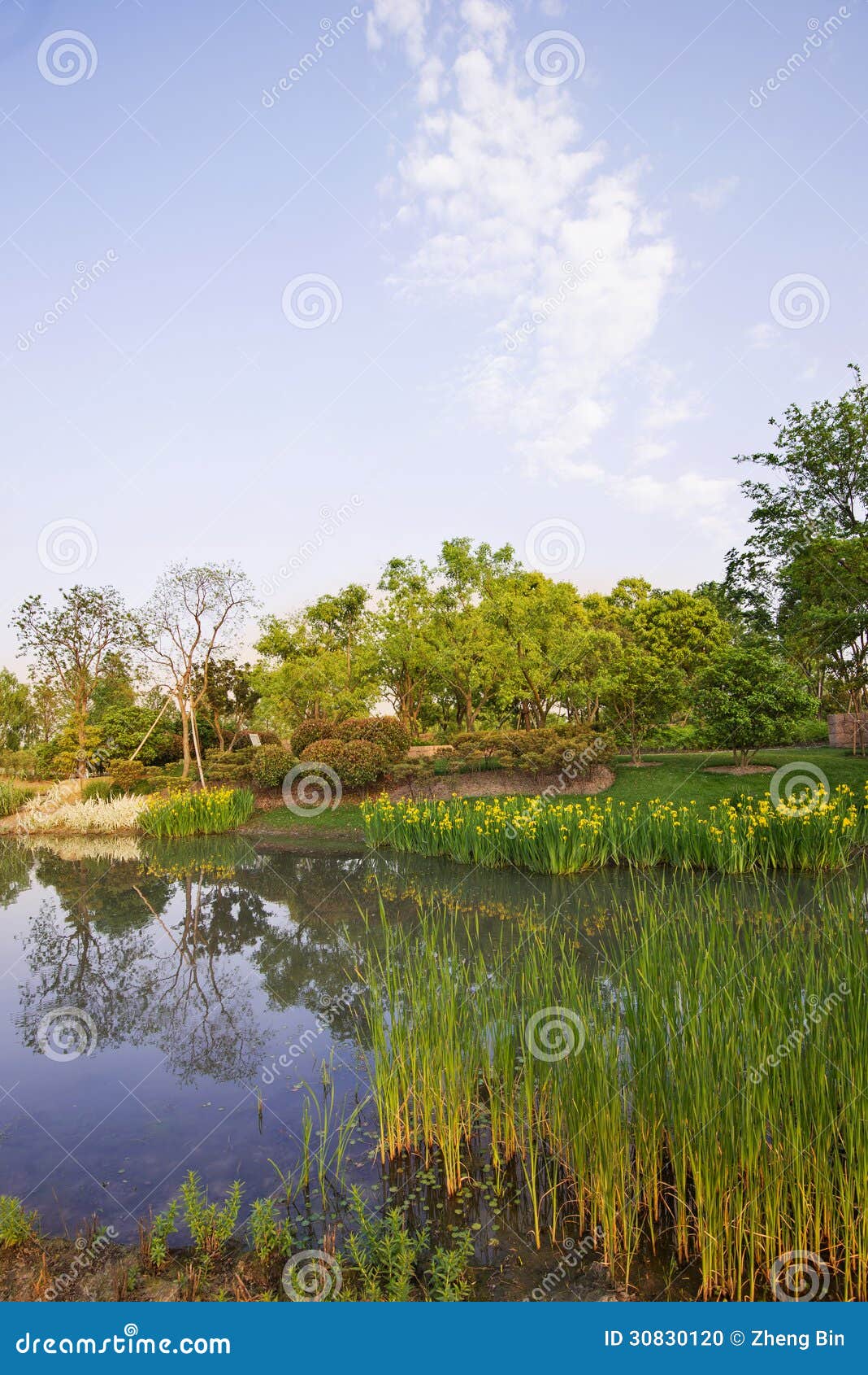 Park scenery stock photo. Image of idyllic, colorful - 30830120