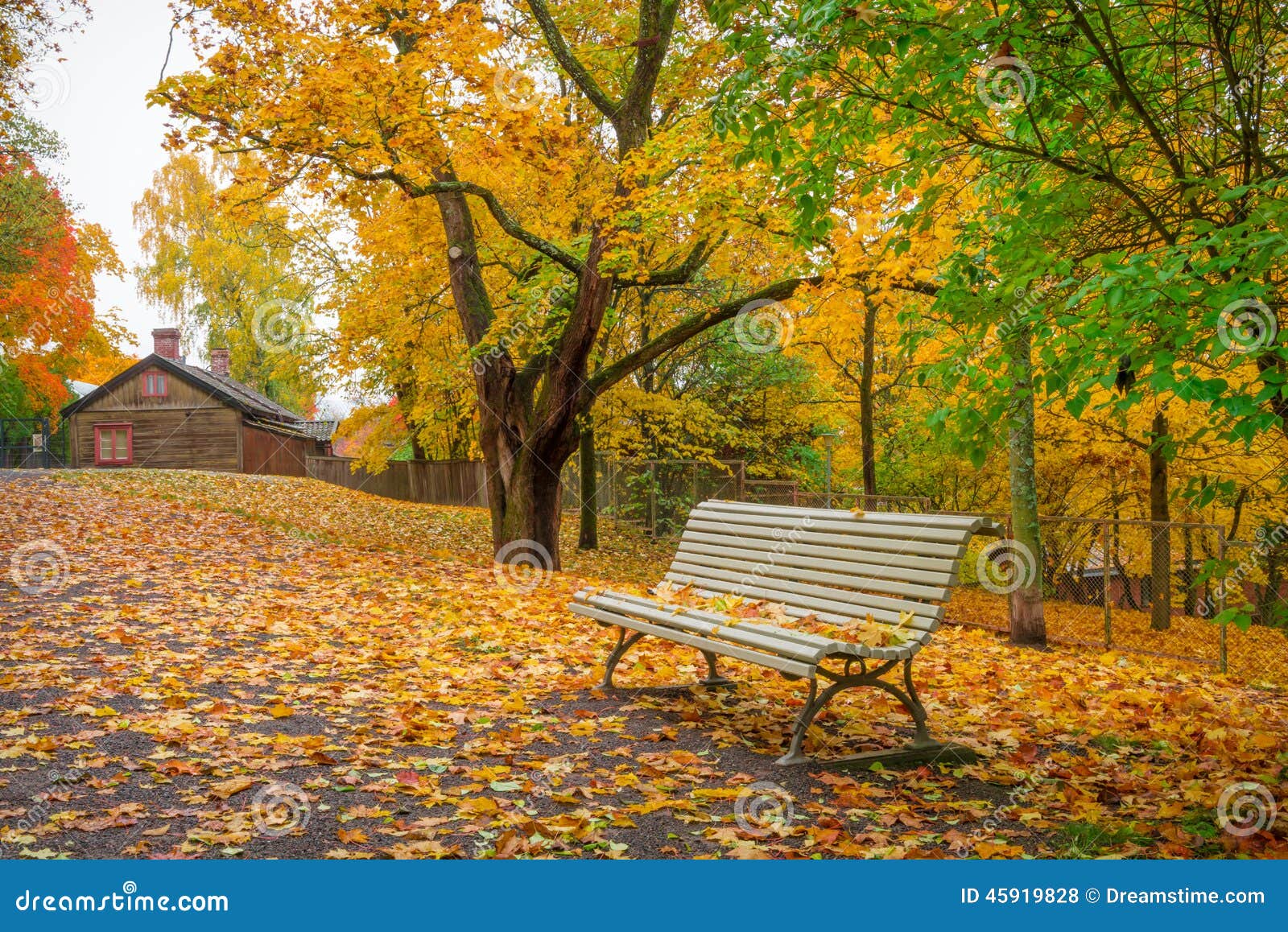 Park scenery in october stock photo. Image of lawn, outdoors - 45919828