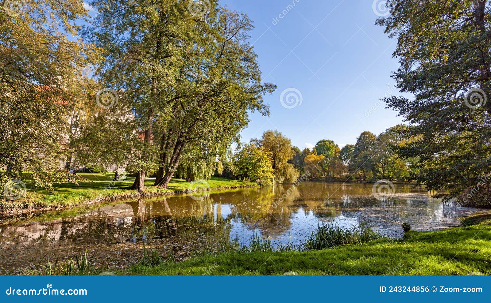 Park with Scenic Pond in the Autumn Stock Photo - Image of river ...