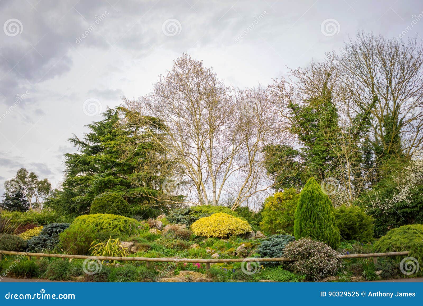 Park Setting in Spring Lush Foliage Bare Trees Stock Image - Image of ...