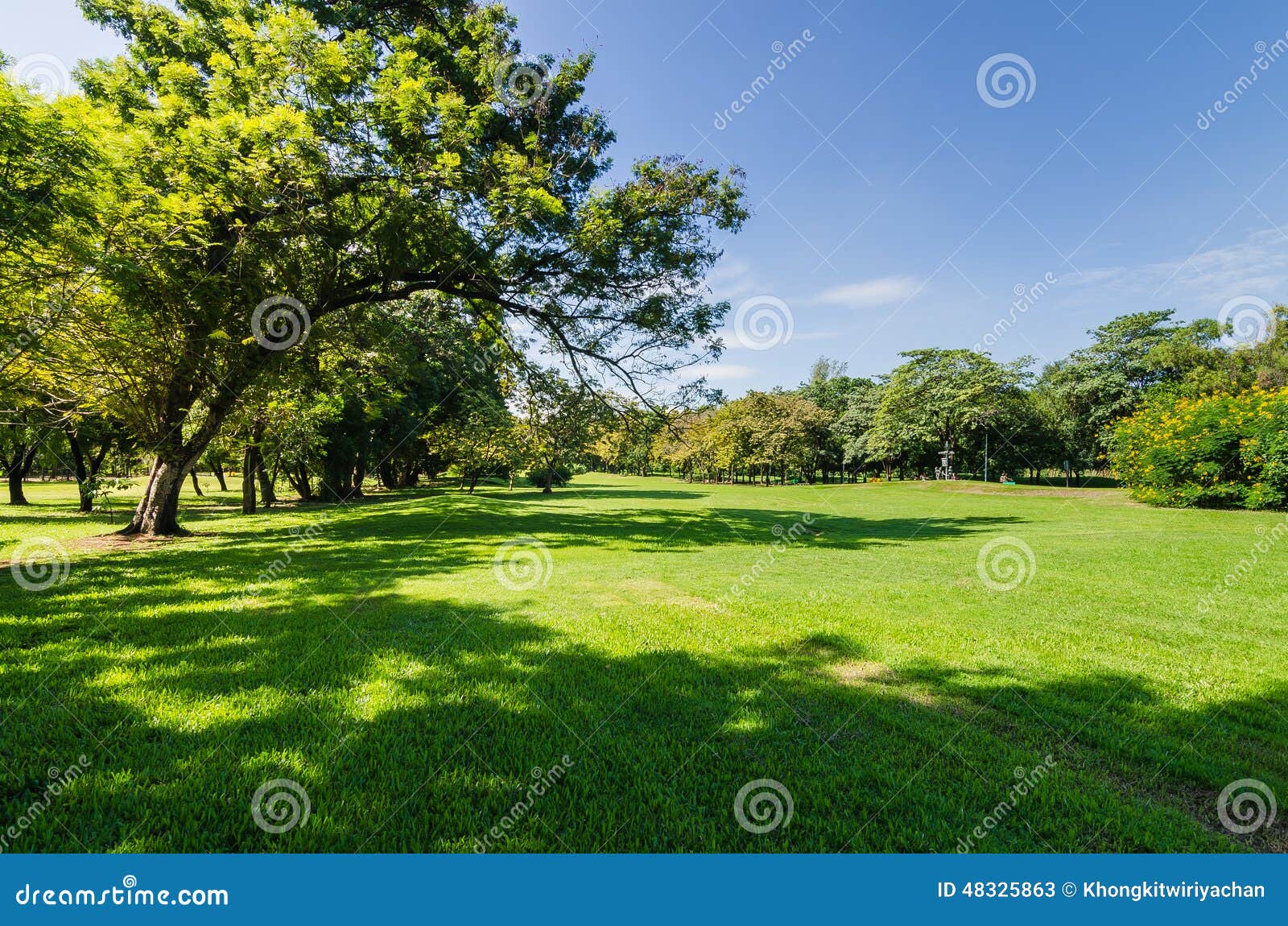 Park with Shadow of Green Tree Stock Image - Image of saturation ...