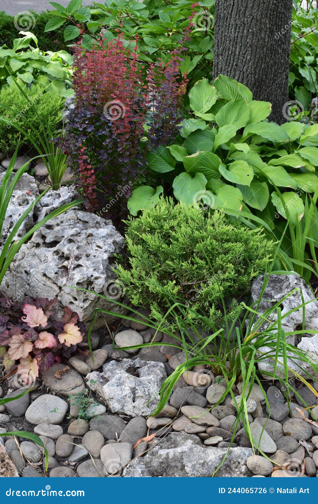Park with Shrubs and Green Lawns Stock Photo - Image of plant, design ...