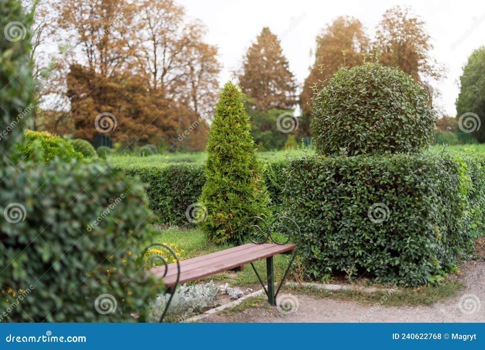 Park with Shrubs and Green Lawns, Landscape Design. Topiary, Green ...