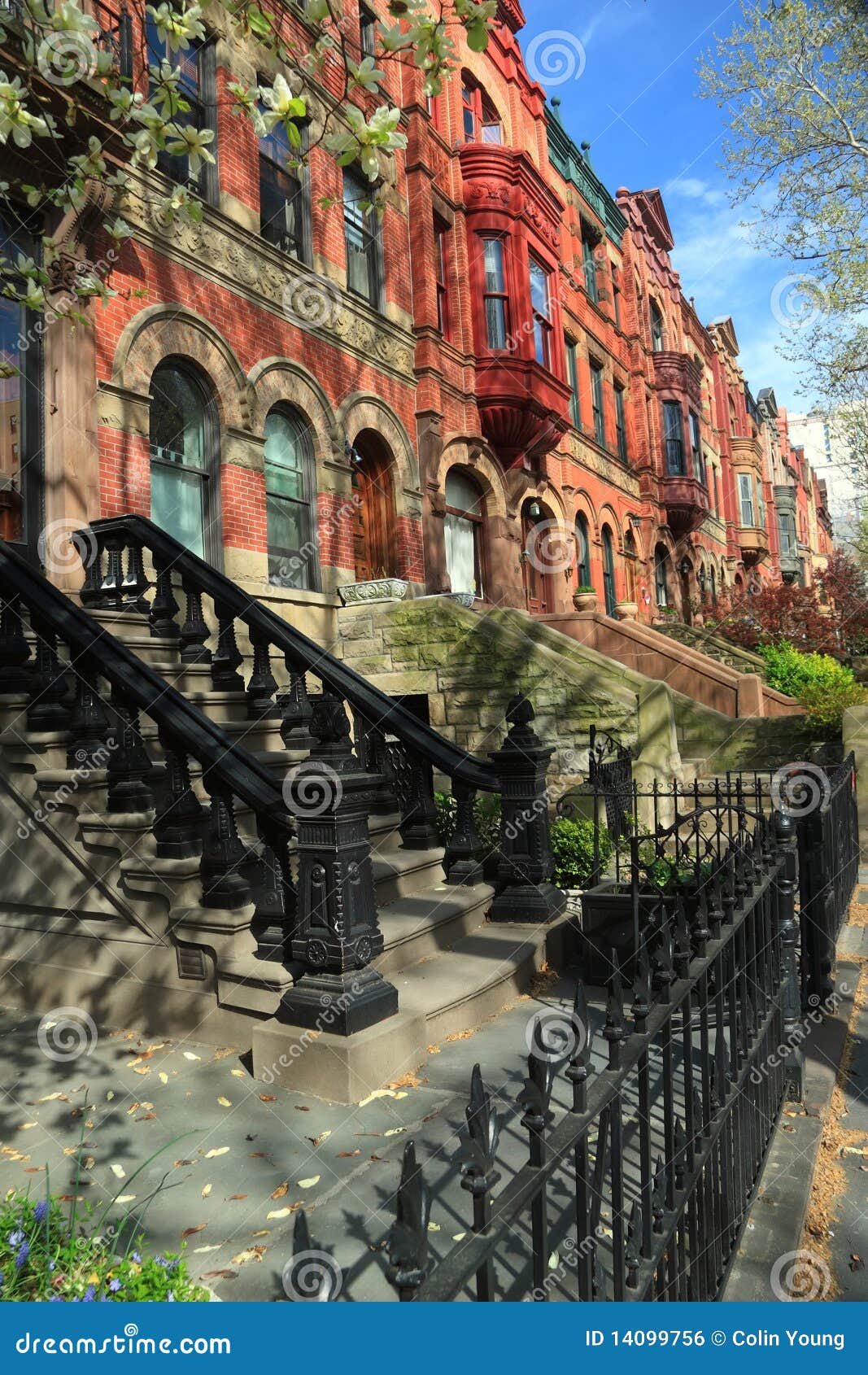 Park Slope Stoop stock photo. Image of stoop, brooklyn - 14099756