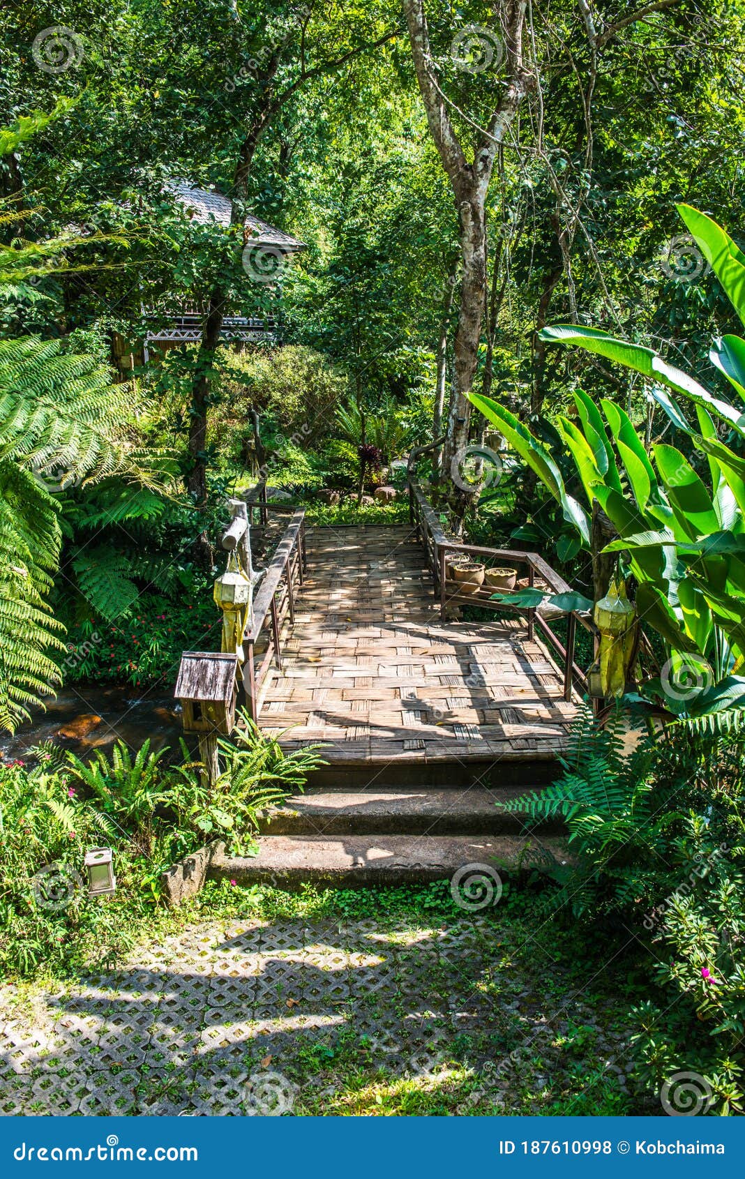Park with small bridge stock photo. Image of outdoors - 187610998