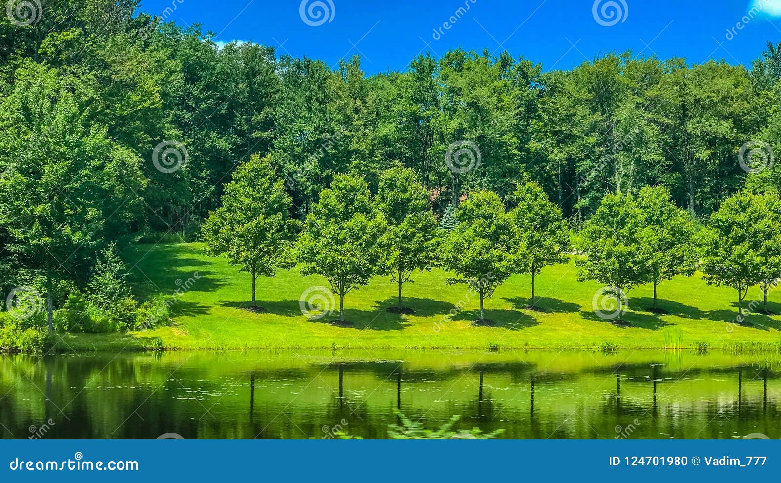 Park with a Small Pond Pennsylvania US. Stock Photo - Image of culture ...