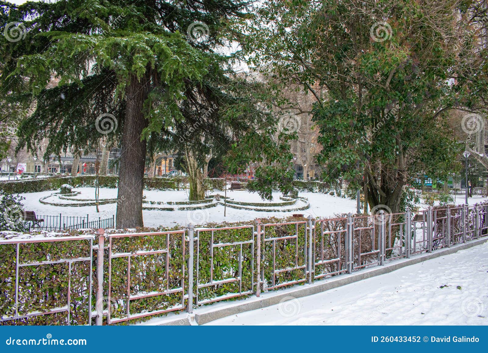 Park with Snow-covered Trees in the City in Winter Stock Photo - Image ...